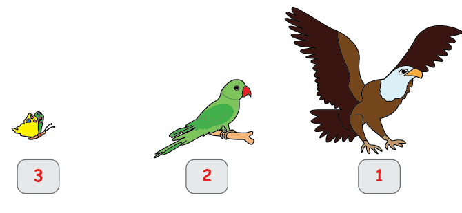 Preschool Heavy Light Coloring Sheet Heavy Vs Light Worksheets | Math
