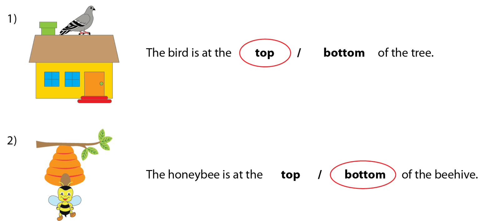 Printable Position Worksheets | Math Fun Worksheets PDF
